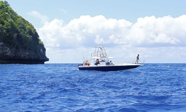 A Guide to the Best Sport Fish in the World