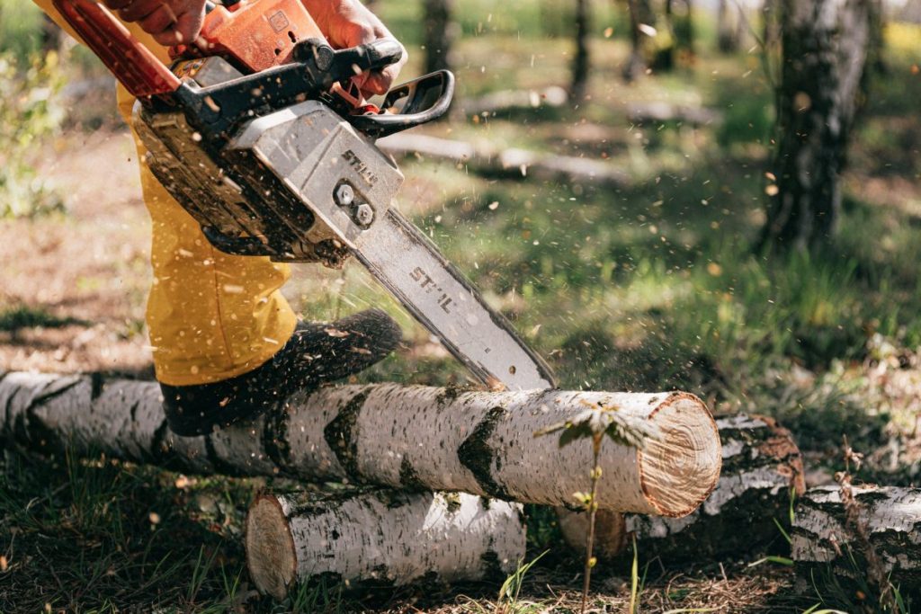 A Guide To Choosing The Right Chainsaw — And Some Safety Tips - The ...
