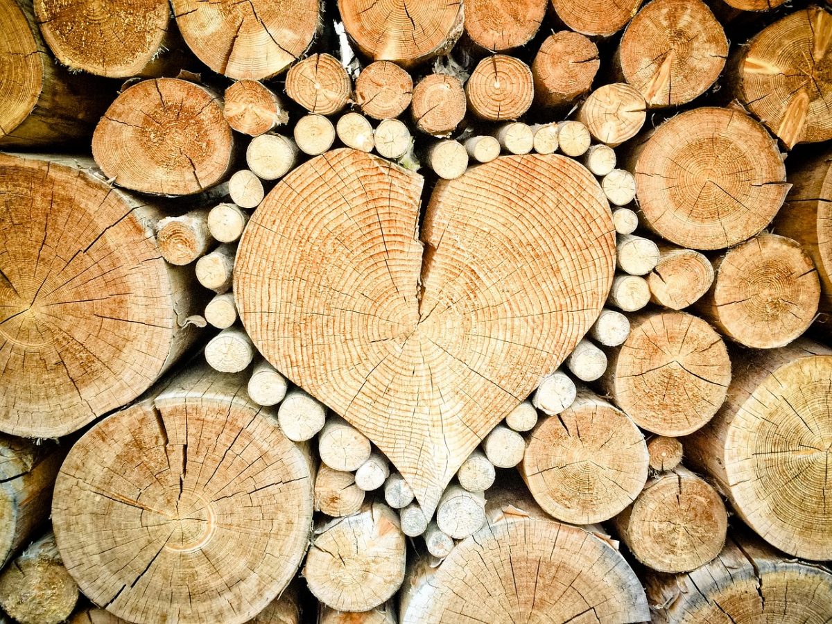 How Sustainably Sourced Wood Enhances Green Manufacturing - The Clinton ...