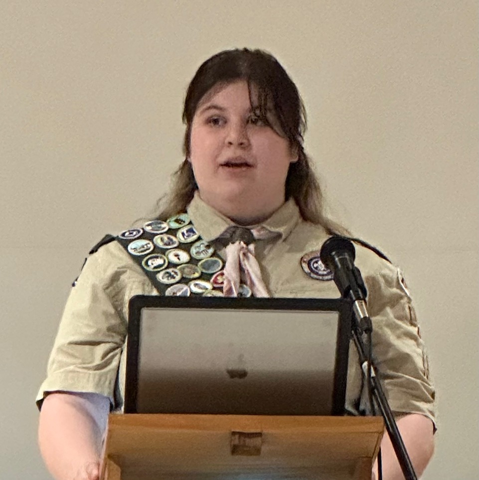 Salassi earns Eagle Scout rank - The Clinton Courier