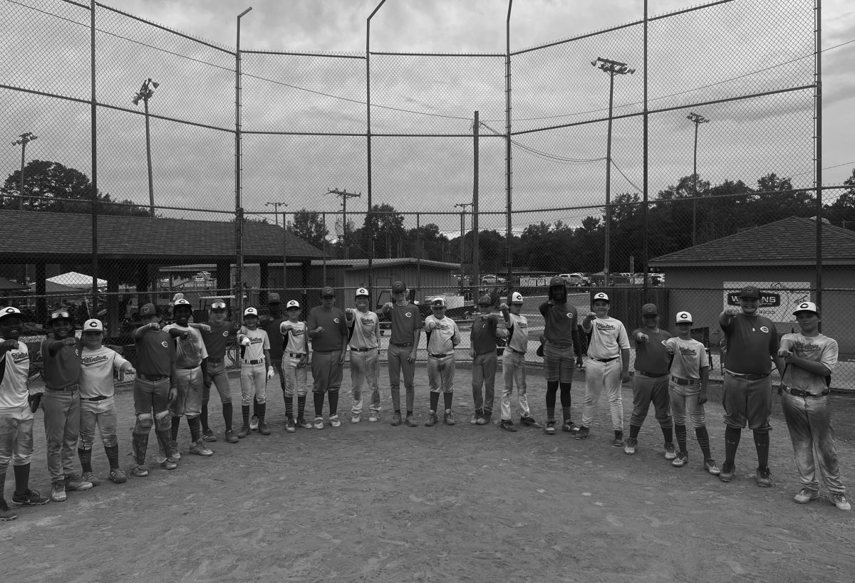 Clinton Baseball Association Allstar teams shine in playoffs - The ...