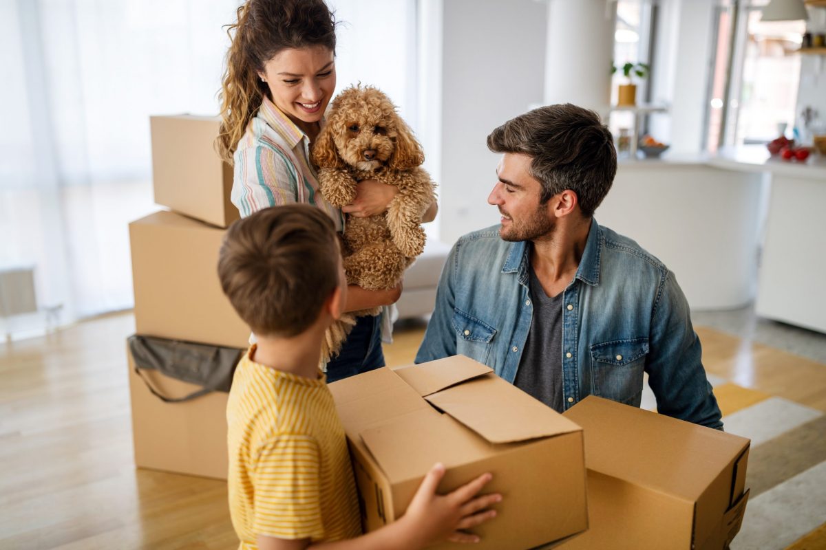 5 Tips for Moving with Animals and Children - The Clinton Courier