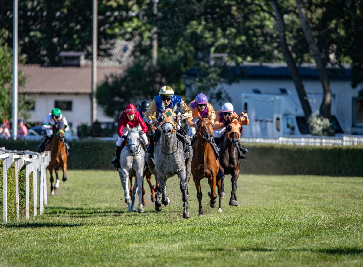 5 Front-Runners in the 2024 Breeders' Cup Classic Rankings - The ...