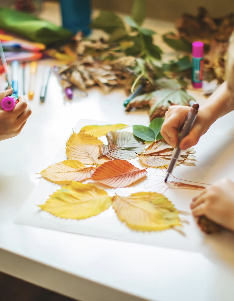 Nature Center to offer “Stillness and Story Retreat” for adults & "Fall Break Art-in-Nature Camp ...